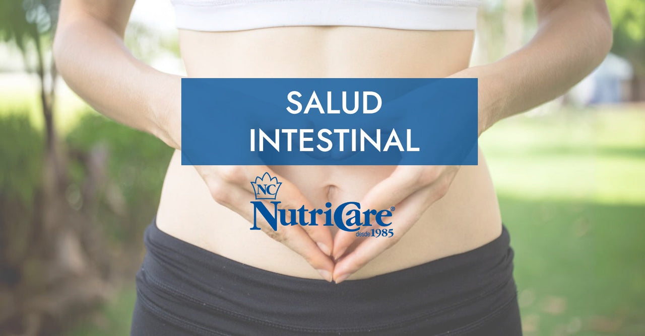 Salud Intestinal: Por qué es importante y cómo mejorarla | NutriCare